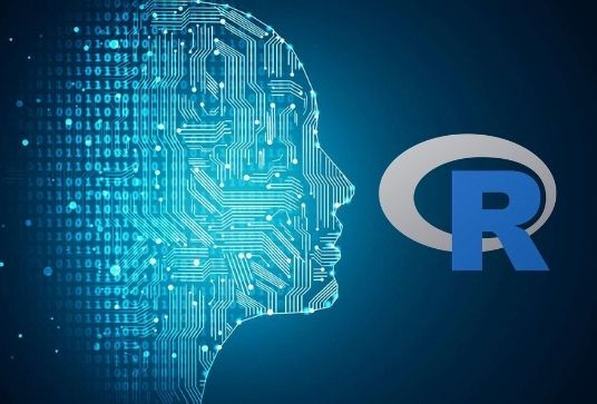 Machine Learning in R Course - Nemisa AI